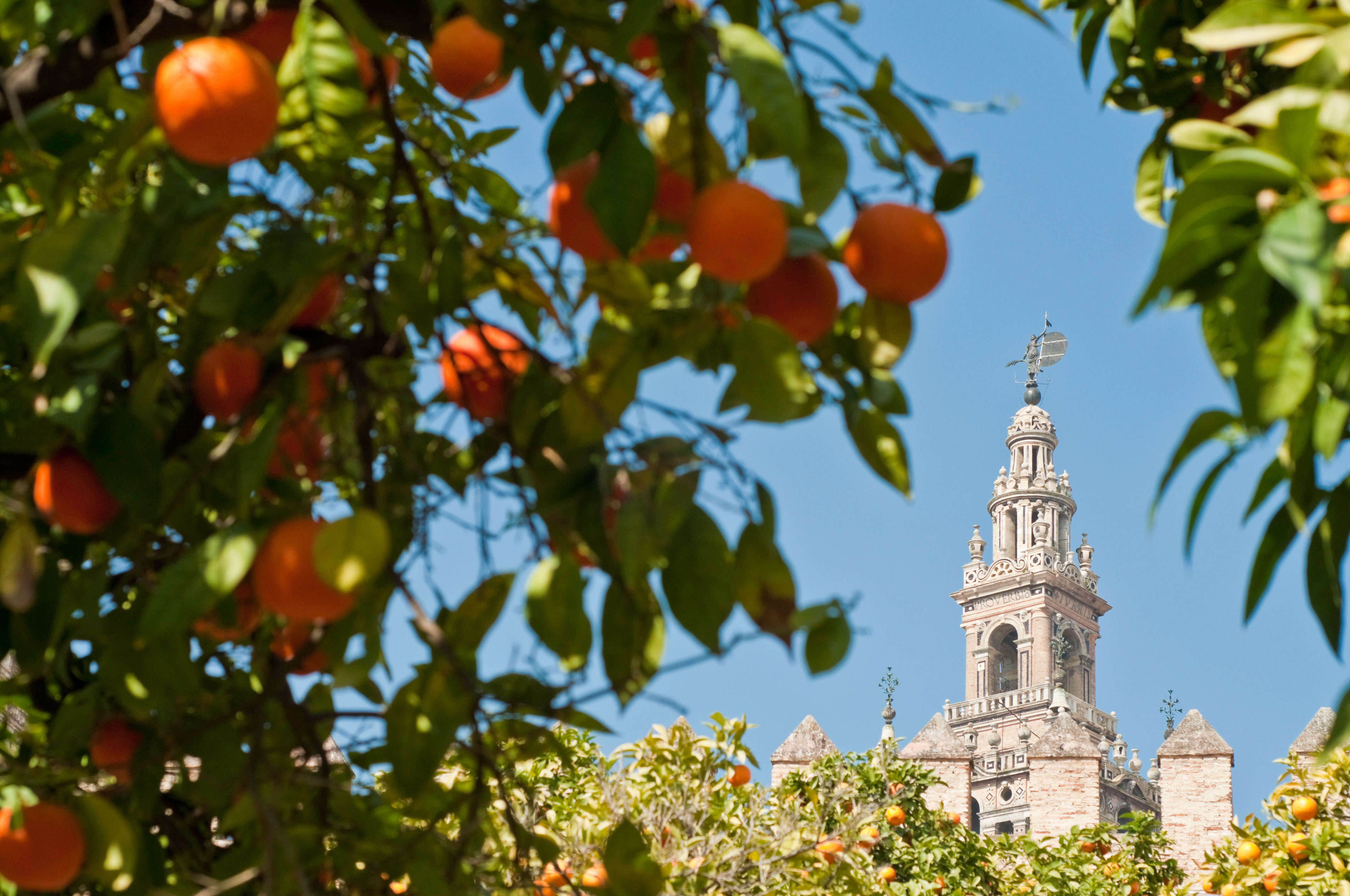 What to do in Andalusia | Marriott Bonvoy Traveler